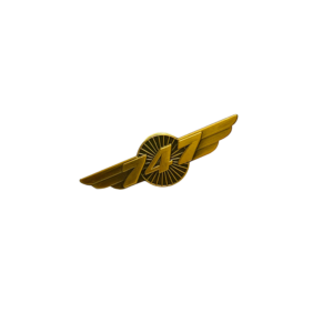 Metal Wing Pin Badge Boeing Airbus Pilot Aircraft – PU AIR KOREA